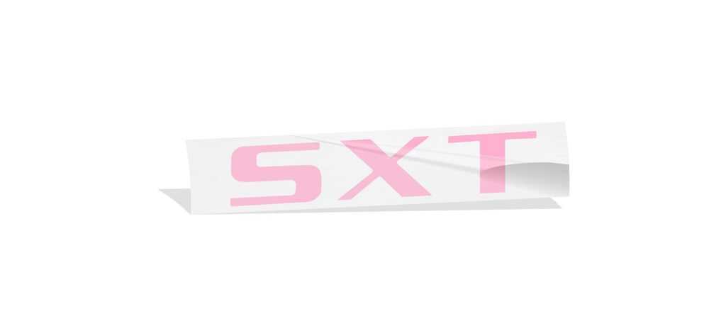 SXT Emblem Overlay Decal - Dodge Charger SXT